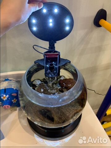 Продам аквариум с петушком