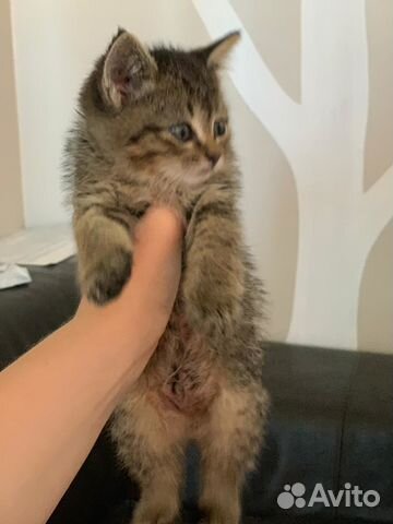 Маленькие комочки