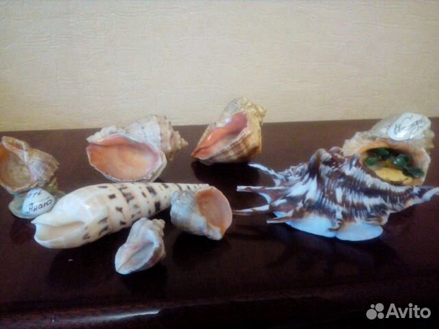 Фигурки для аквариума и сачки