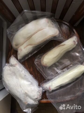 Крысы кормовые