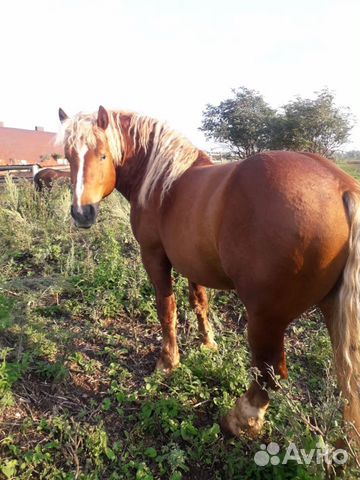 Советский тяжеловоз