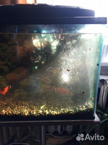 Аквариум, 96л