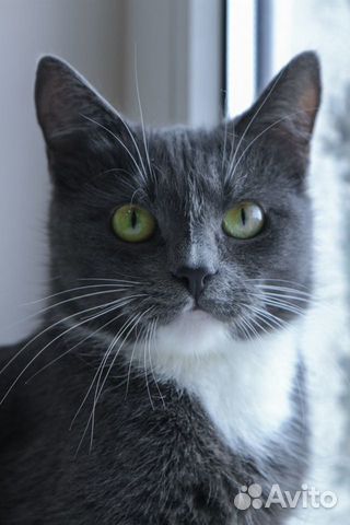 Ищем семью для необыкновенно красивой Милочки