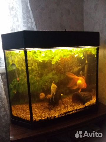 Аквариум 75 л