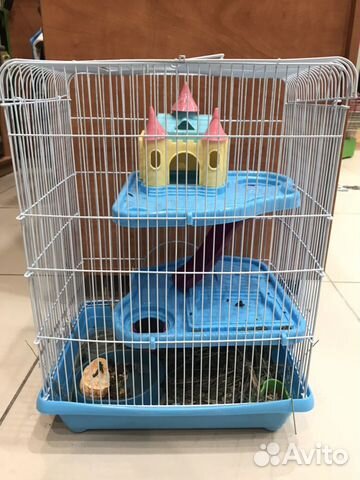 Белочки Дегу