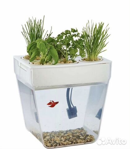 Акваферма б/у