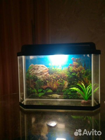 Аквариум