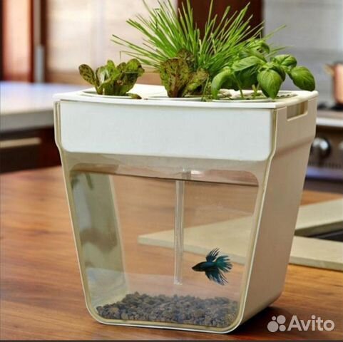 Акваферма 11 литров