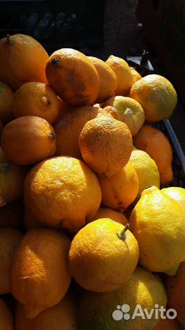 Продукты на корм животным