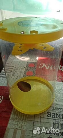 Ферма для бабочек