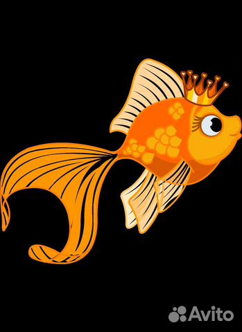 Аквариумные рыбки