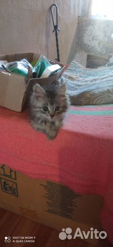 Космос ищет дом