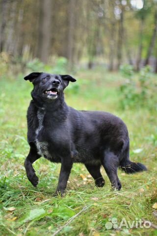 В поисках семьи и дома