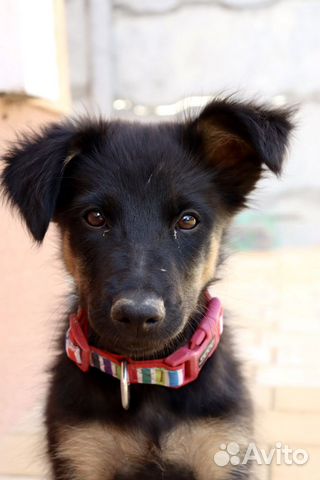 Очень хорошая девочка