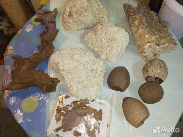 Грунт туф песчаник кокосы коряга в аквариум