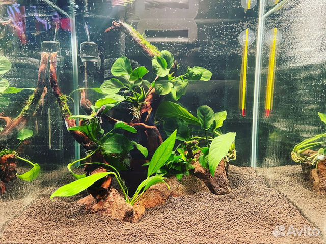 Аквариум 30 литров