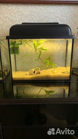 Аквариум с рыбками 15литров