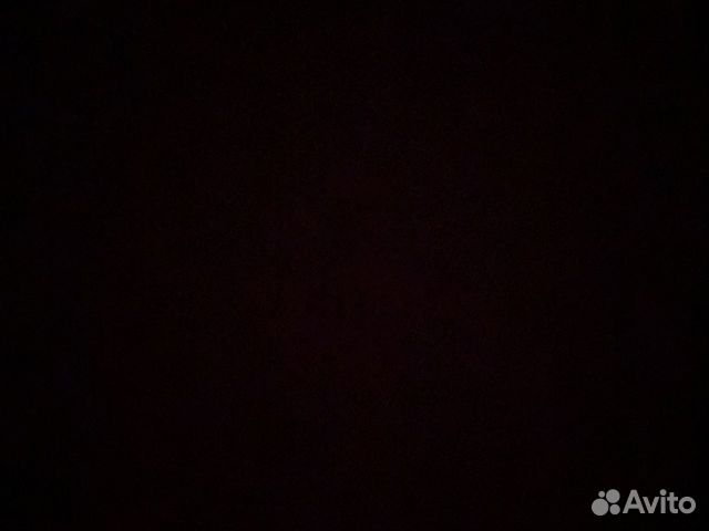 Корова стельная