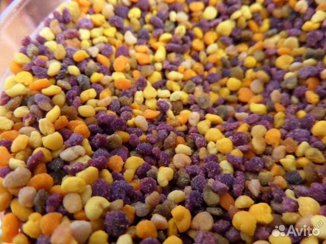 Перга, Пыльца пчелиная из россии