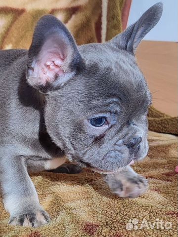 Классный пацан