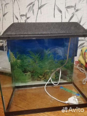 Аквариум