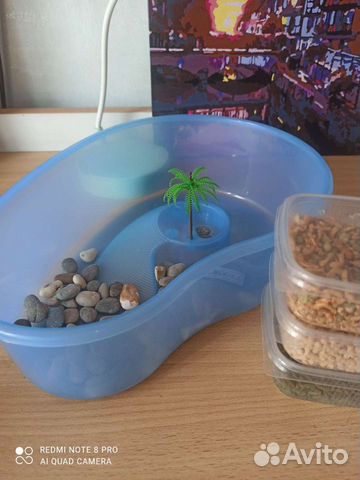 Набор для красноухой черепашки