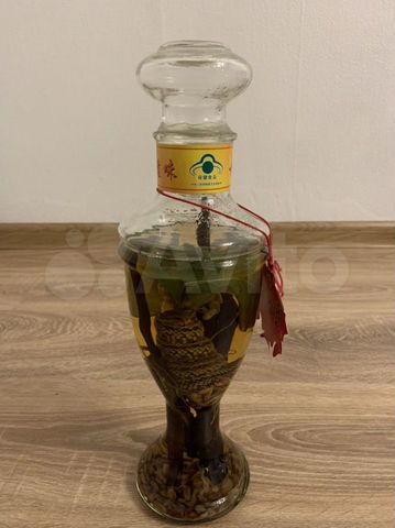 Декоративная змея