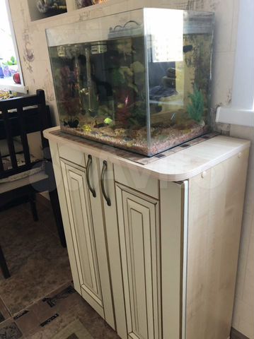 Аквариум с рыбами