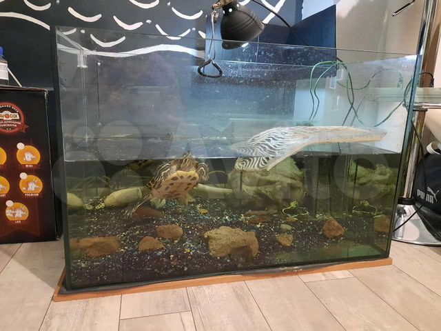 Акватеррариум